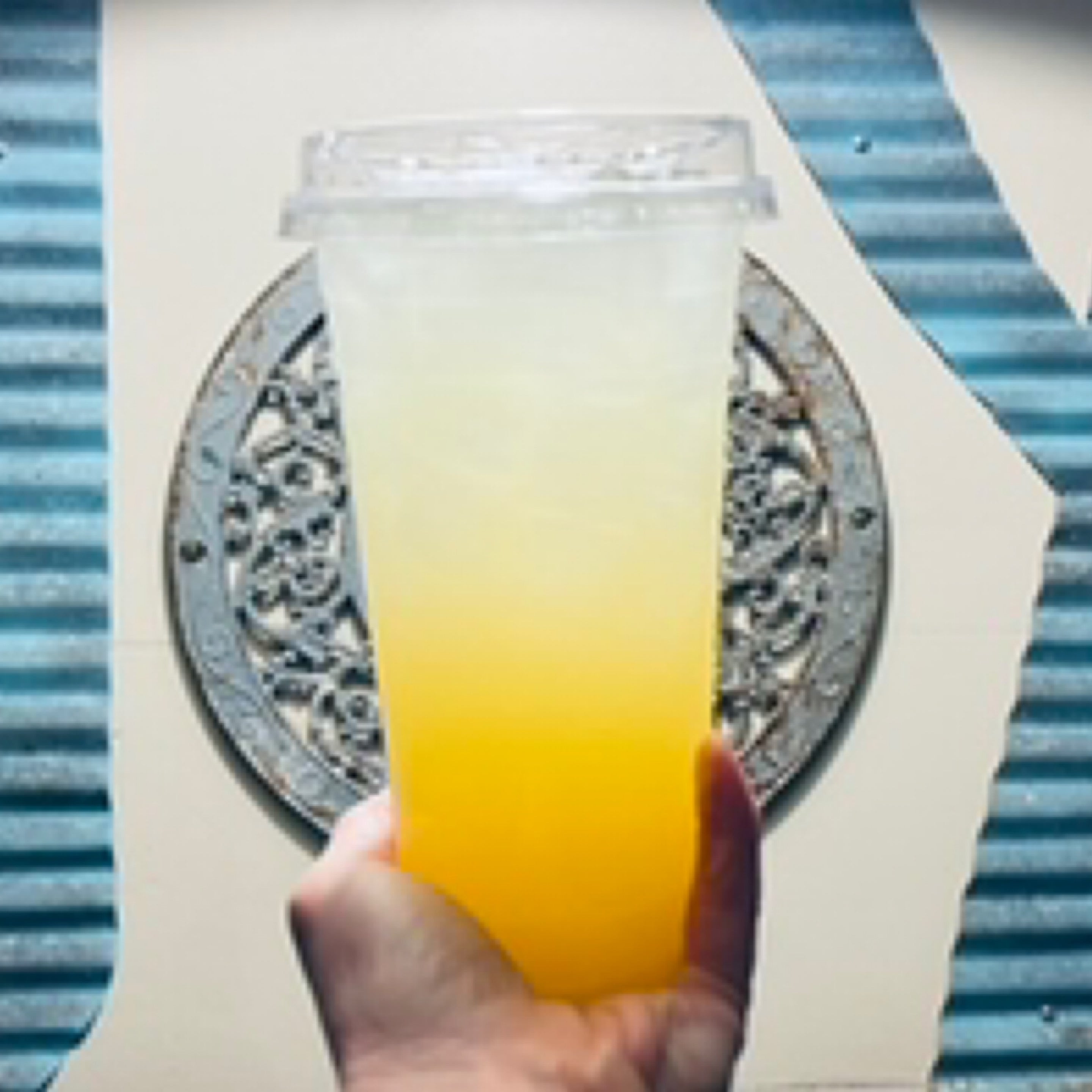 Lotus Energy ZERO SUGAR Sparkling Mimosa (Skinny White Lotus, Zero Sugar Peach and OJ) | ginnys ...