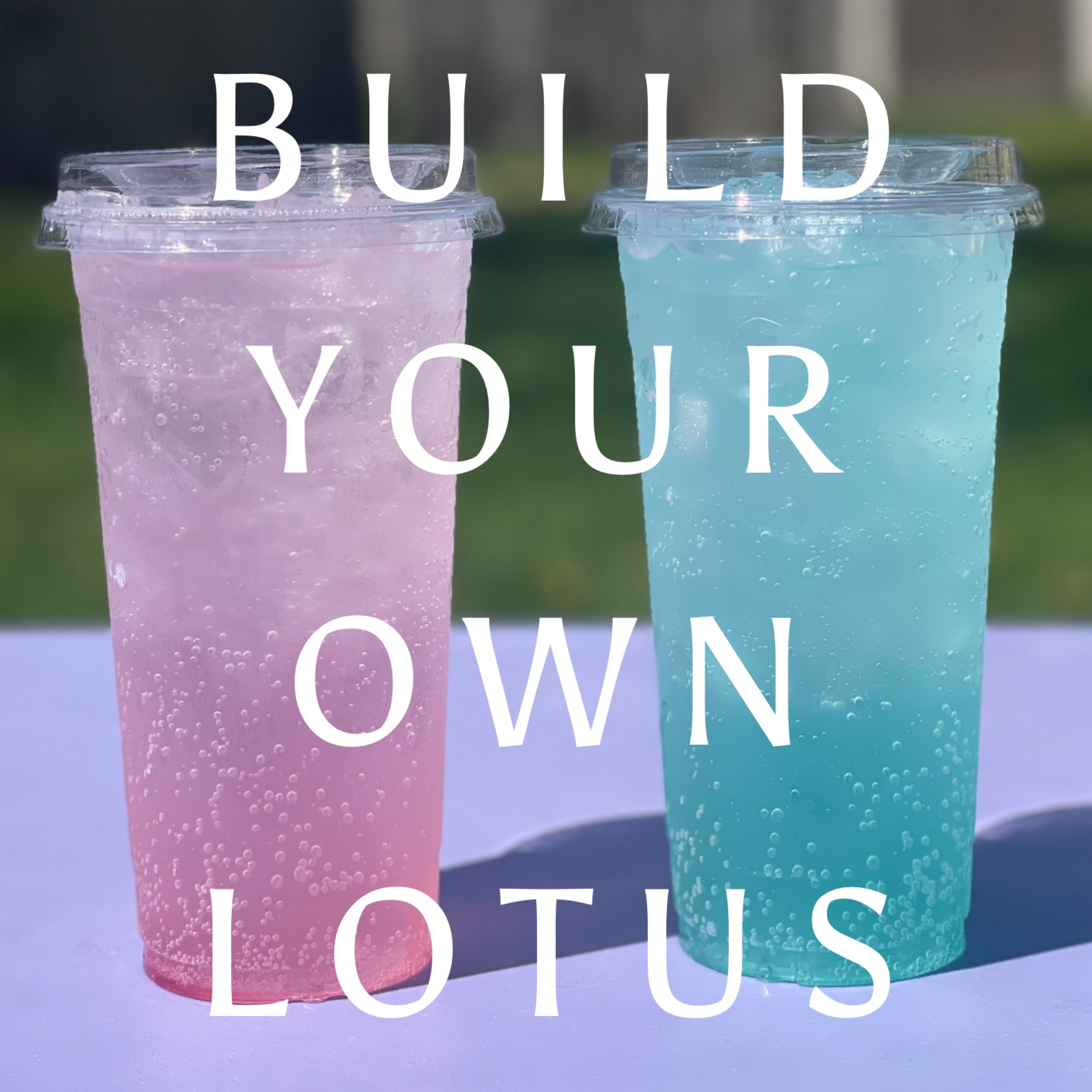 Build Your Own Lotus | ginnys online